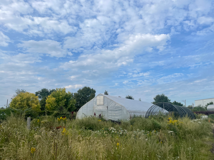 About us – Closed Loop Farms