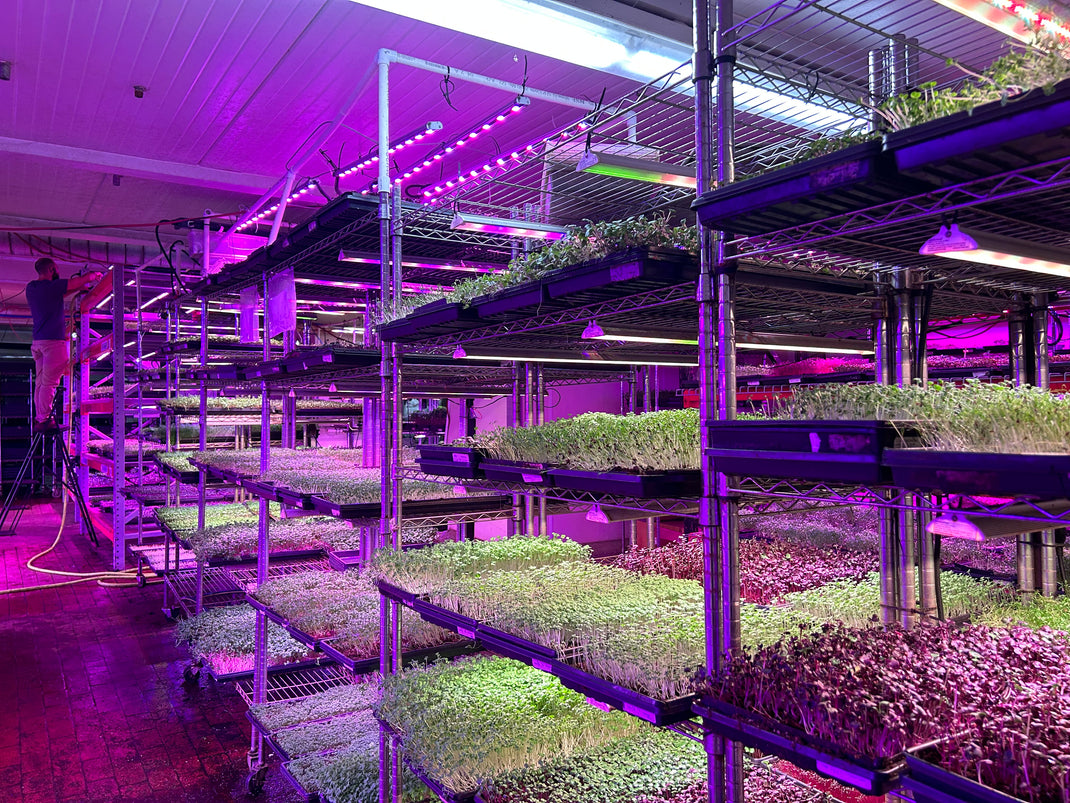 About us – Closed Loop Farms